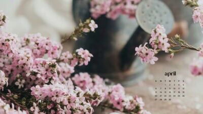 April 2025 wallpapers – 40 freebies for desktop & phones!