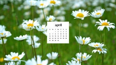 April 2025 wallpapers – 40 freebies for desktop & phones!