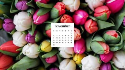 November 2025 wallpapers – 56 freebies for desktop & phones!