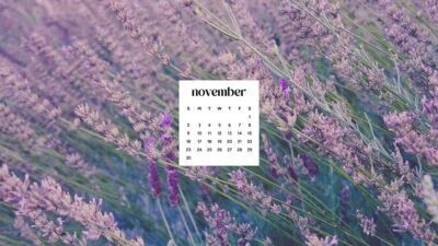 November 2025 wallpapers – 56 freebies for desktop & phones!