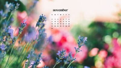 November 2025 wallpapers – 56 freebies for desktop & phones!