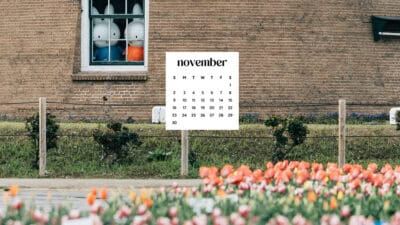 November 2025 wallpapers – 56 freebies for desktop & phones!