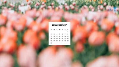 November 2025 wallpapers – 56 freebies for desktop & phones!