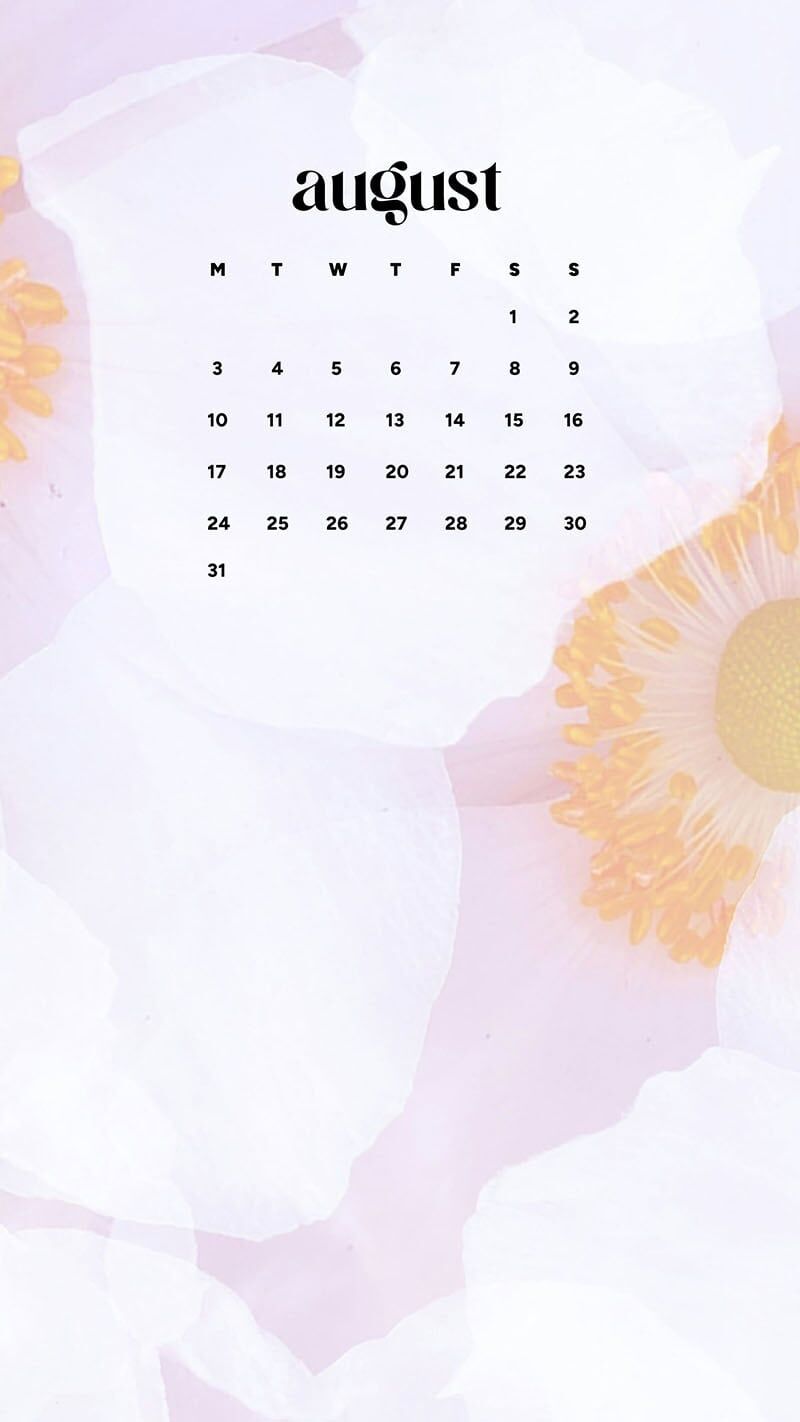 August 2026 computer wallpapers—45 desktop & phone freebies!